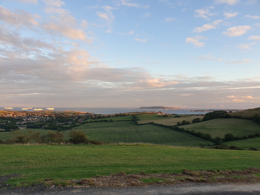 Gallery – Donkey Down