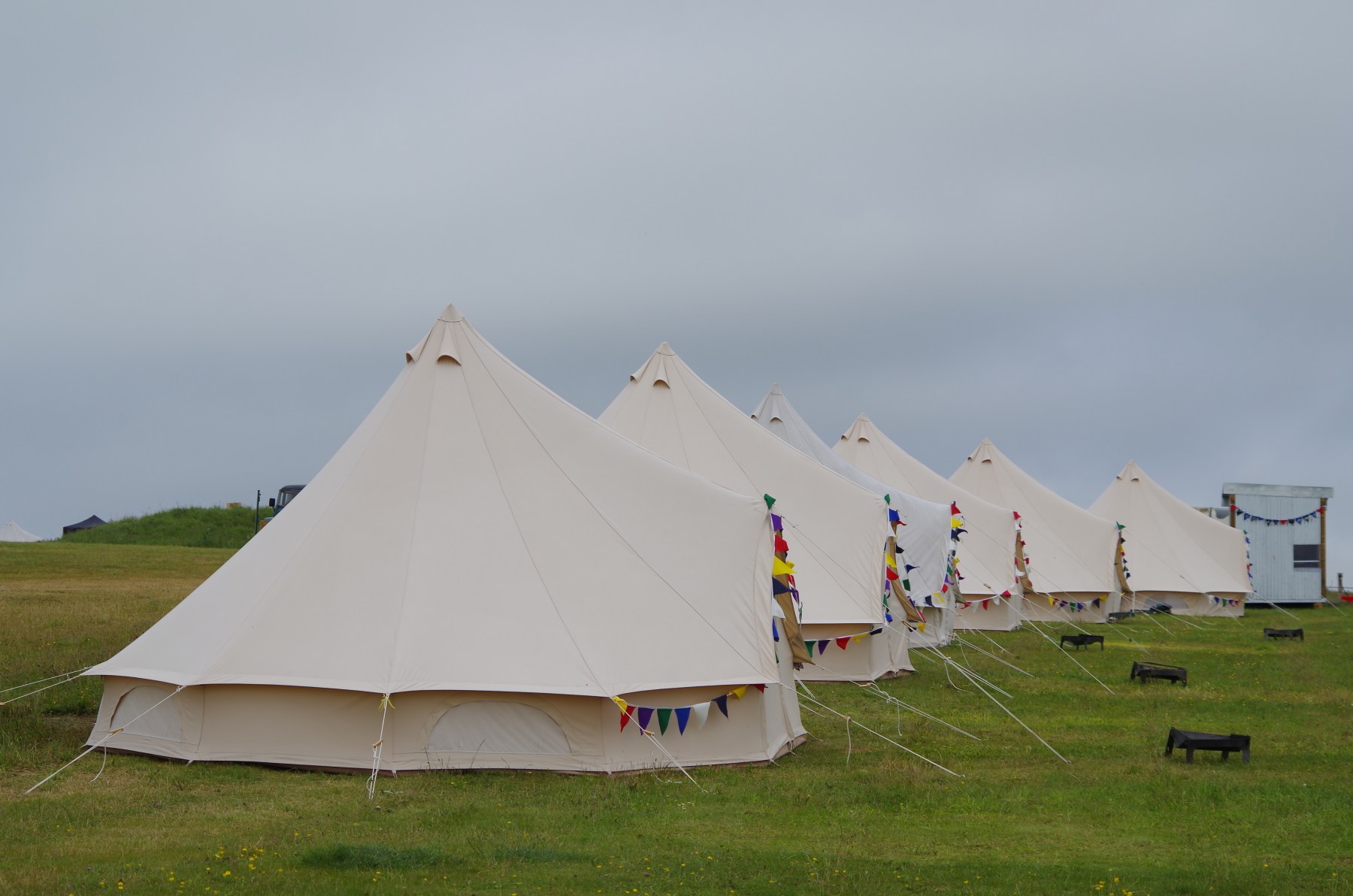 Gallery – Donkey Down