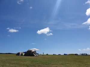 About Us – Donkey Down